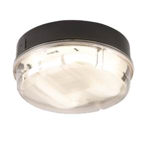 28w 2D HF Fitting with Blue Light. Stops visibility of the Veins when ...